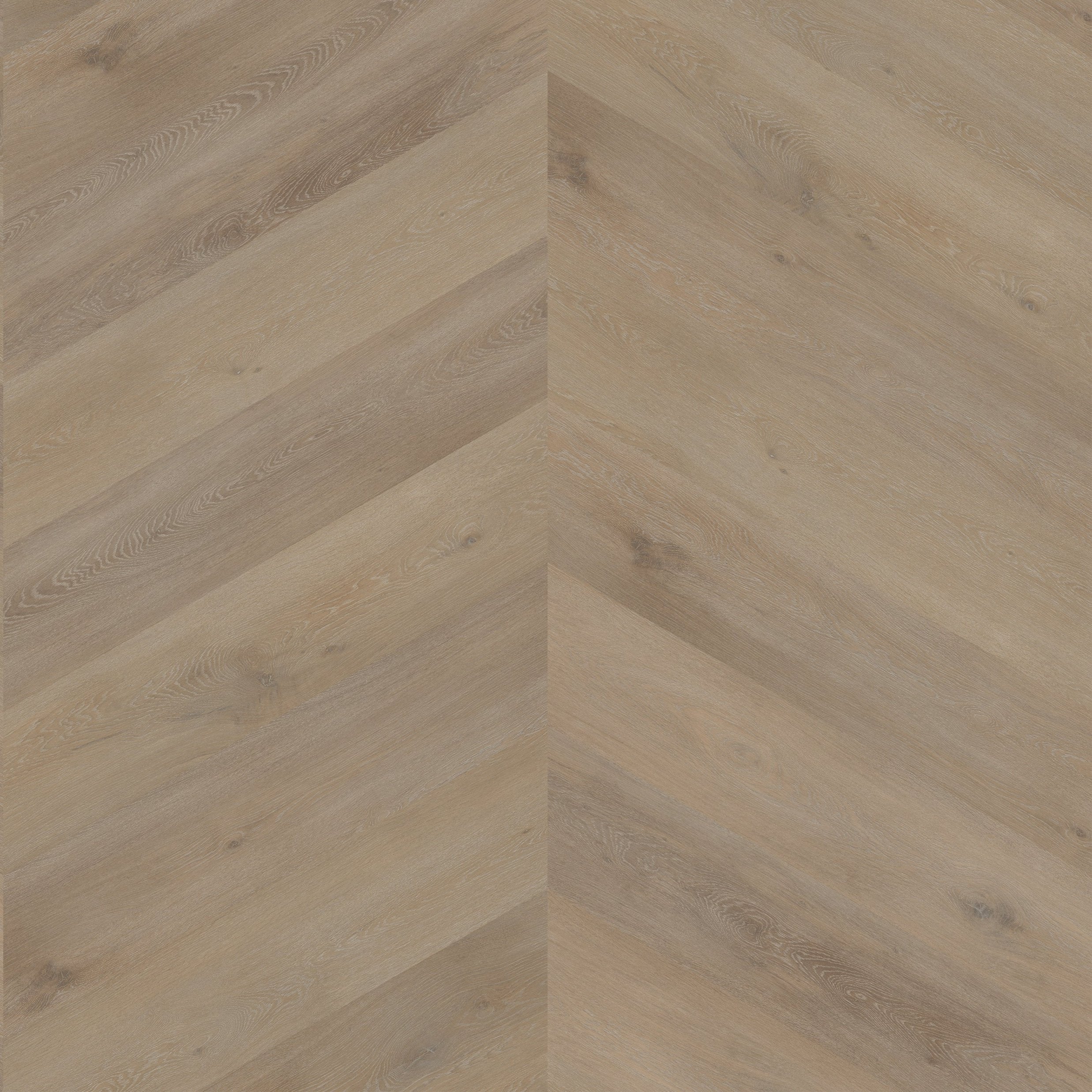 Chambord - Ble - 6616724X – Teknoflor